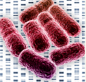 E. coli Detection E.coli-tmus Detector - Sysmatec